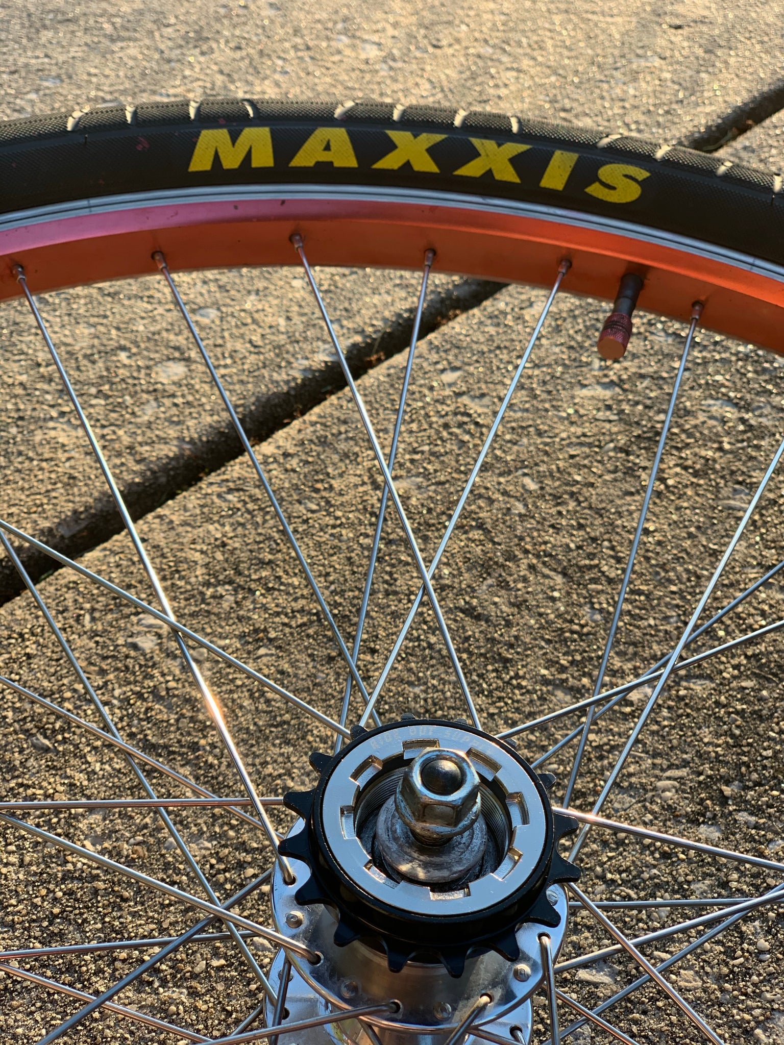 ROS Signature Freewheel – Ride Out Supply